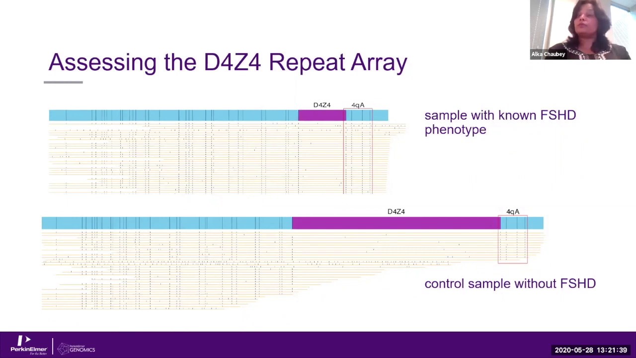 A new genetic test for FSH muscular dystrophy - YouTube