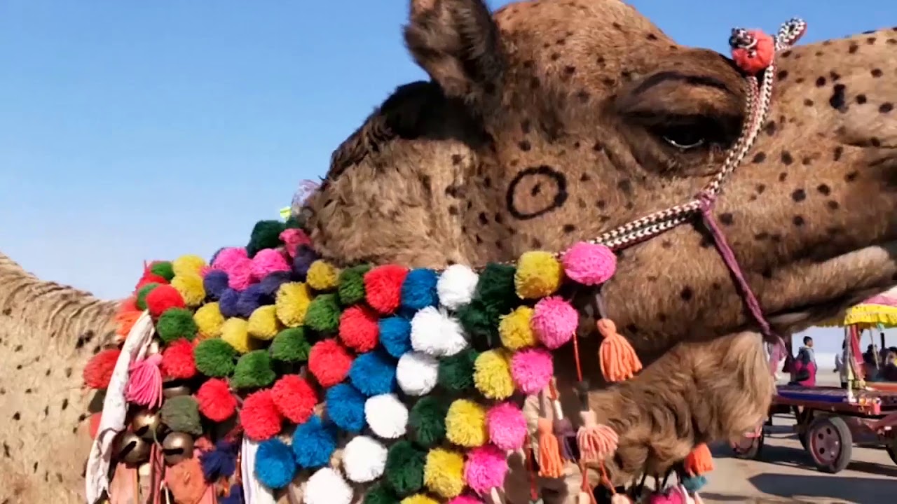 White desert (safed rann) Katchchh - YouTube