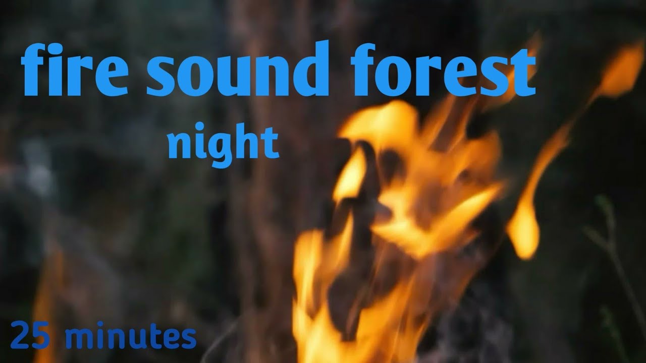 forest fire, fireplace sounds, nature white noise for sleep and 25 ...
