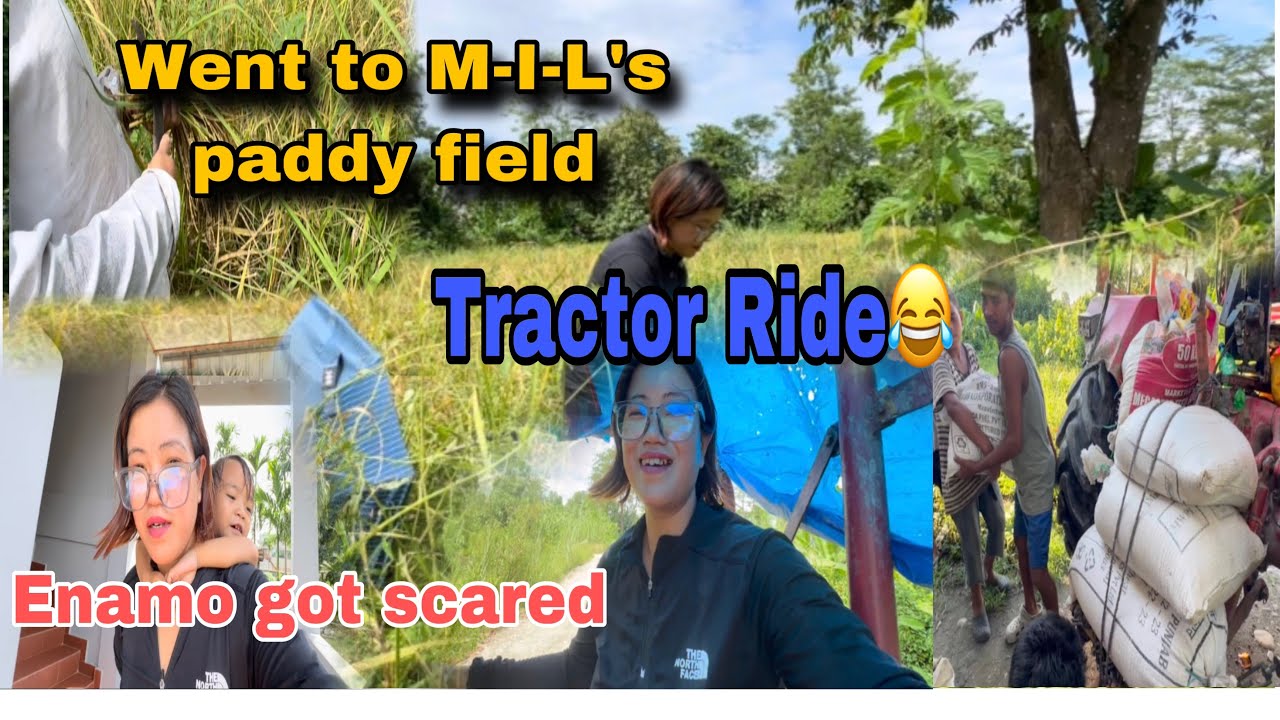 Went to mom in law’s paddy field || Bohut sara Dhan Kuta|| Tractor ride ...