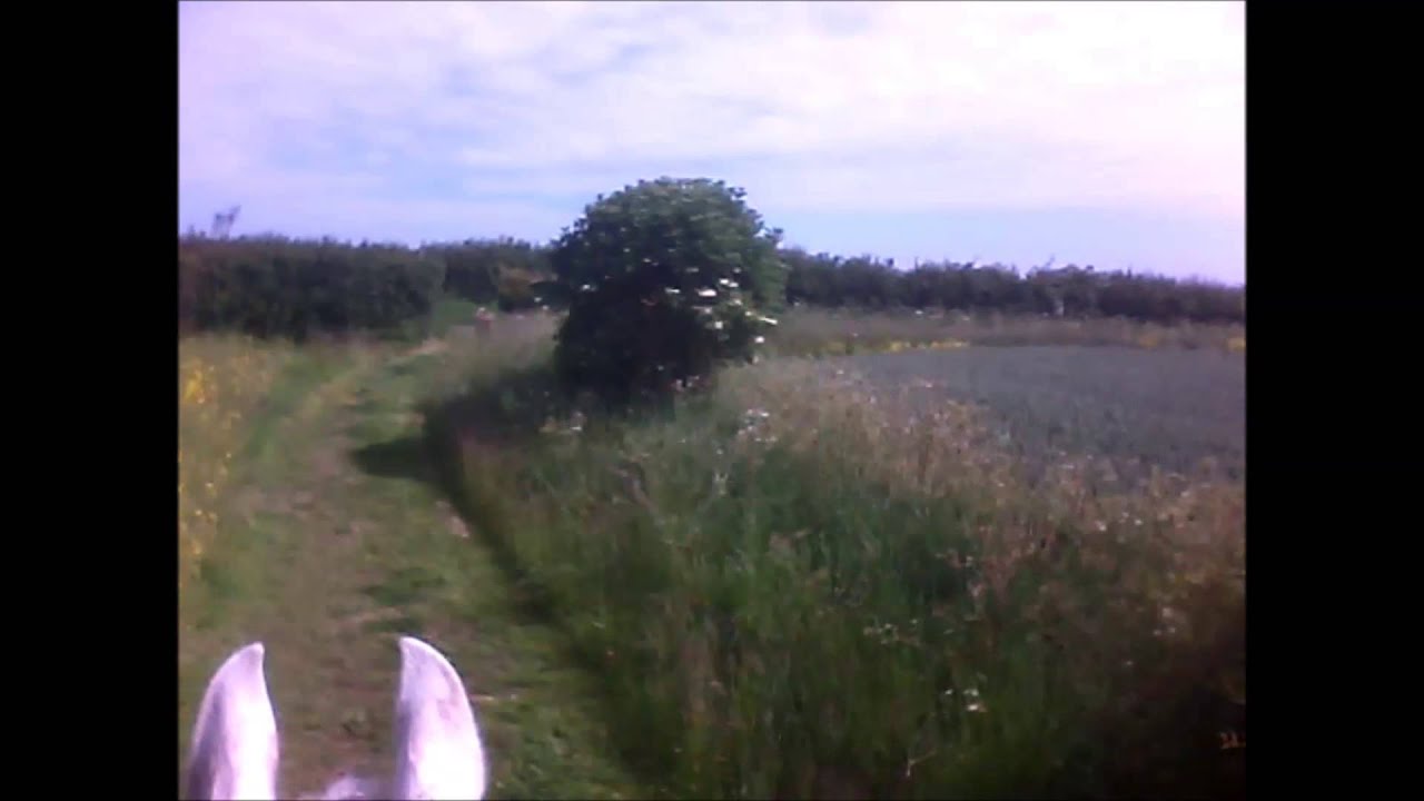 Long Hack 16 June 2015 - YouTube