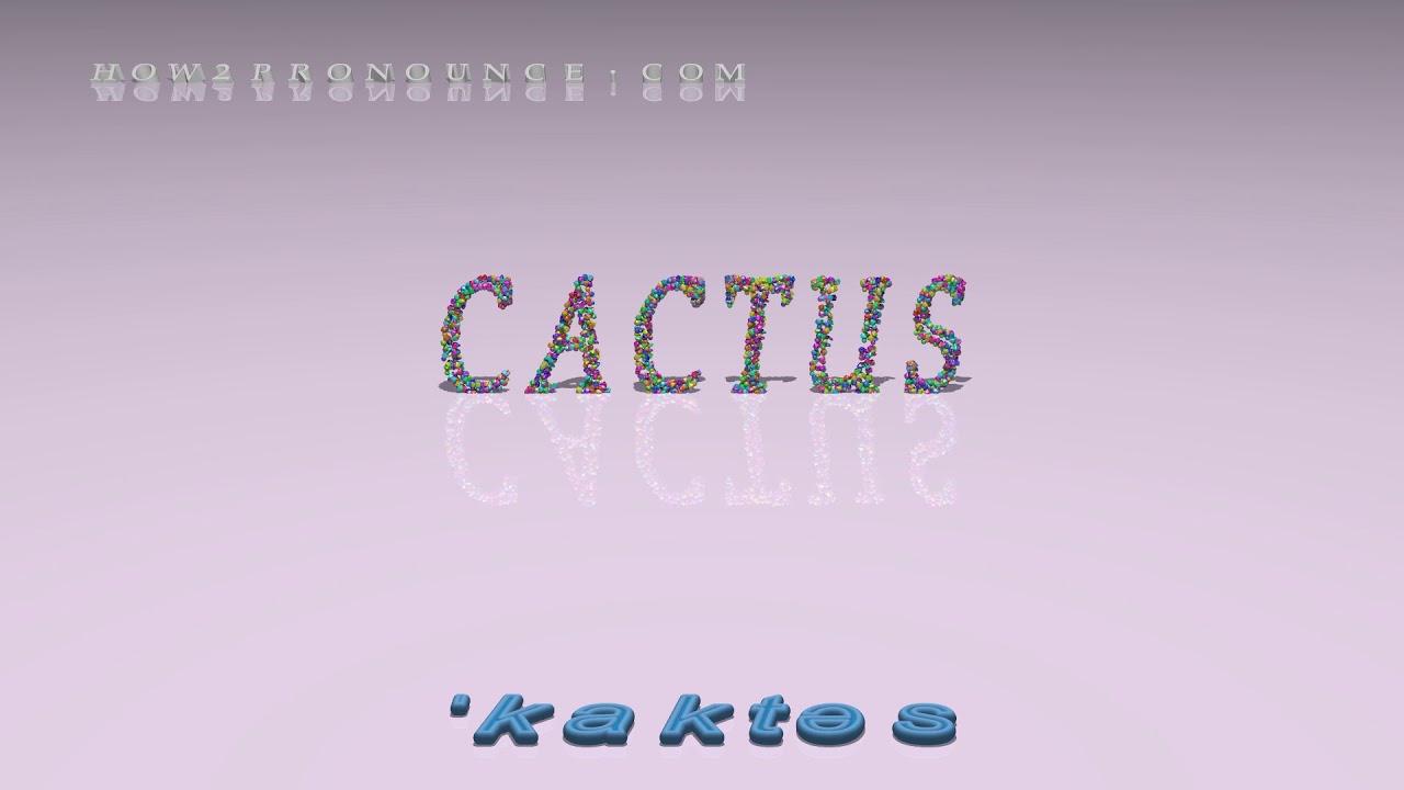 cactus - pronunciation + Examples in sentences and phrases - YouTube