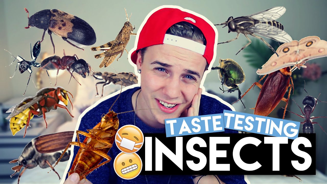 AUSTRALIAN BOY EATS INSECTS? | Joel Eats Junk - YouTube