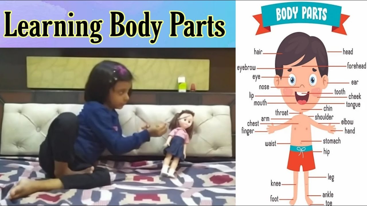 body parts teaching | how to make learn body parts | human body parts ...
