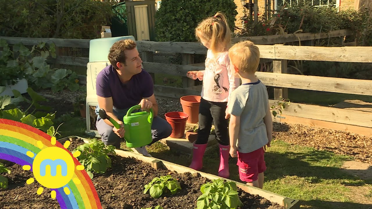 Exploring Allotment | Derek | Milkshake! - YouTube