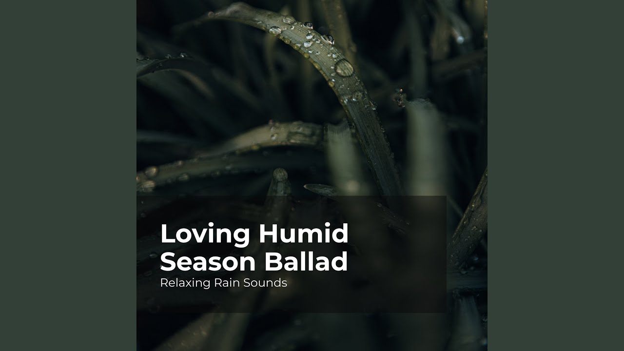 Mild Tropical Rain - YouTube