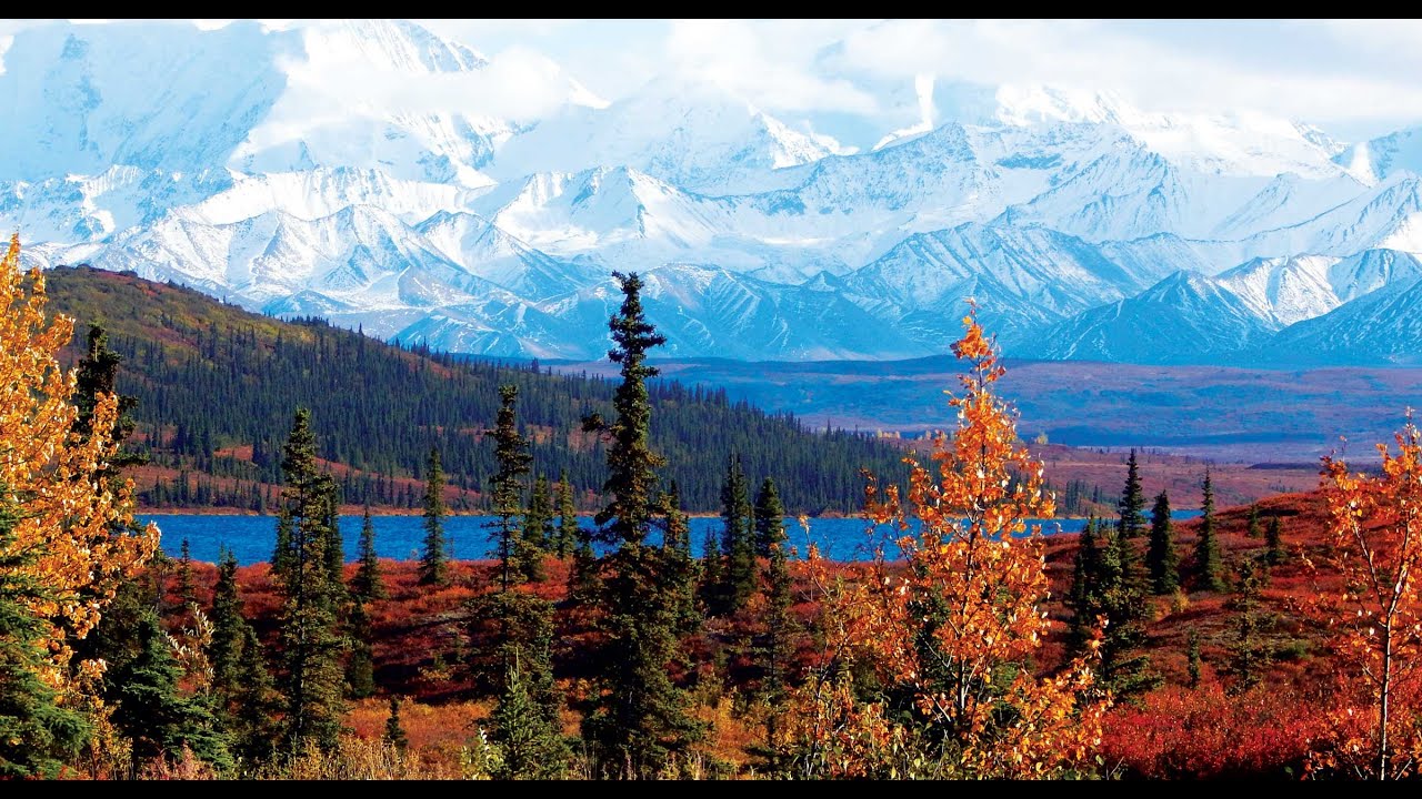 John Hall's Alaska - Fall Colors - YouTube
