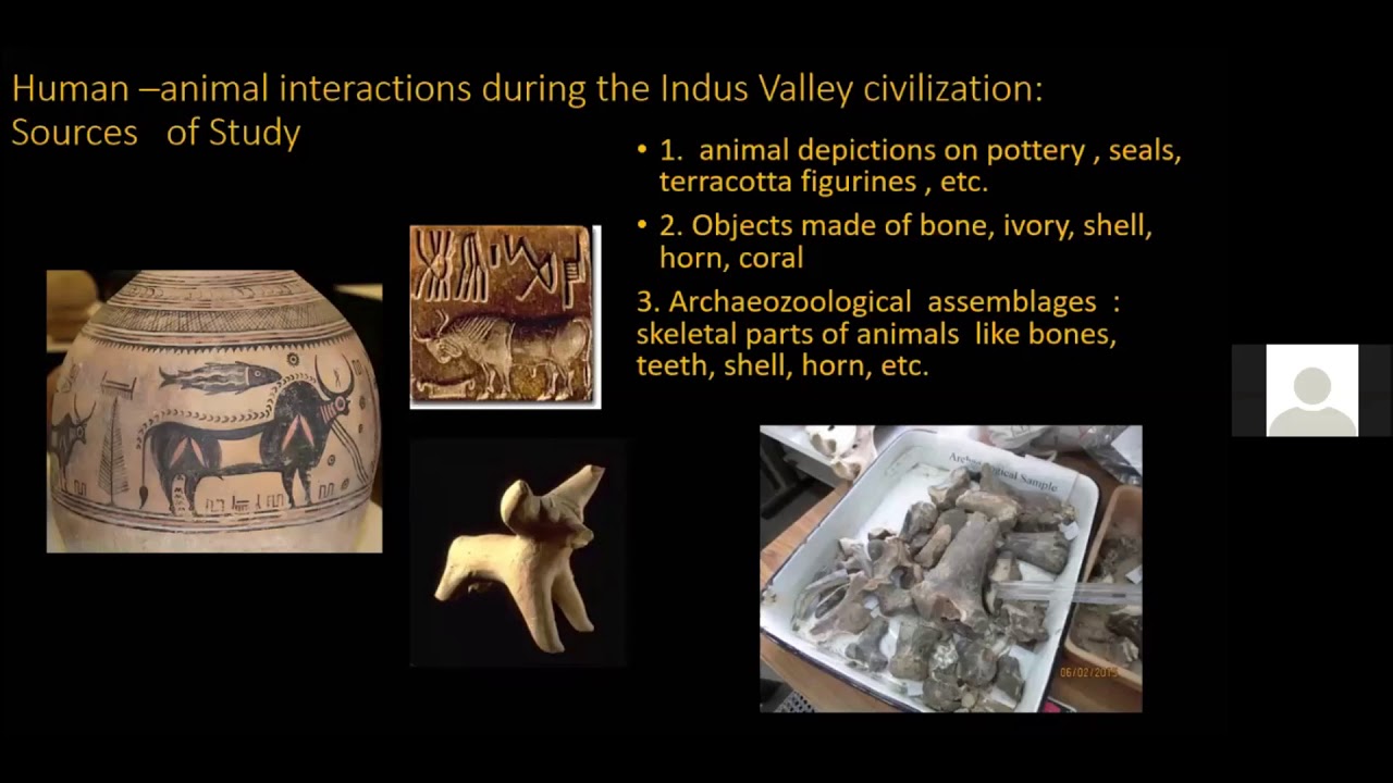 Human and Animal Interactions in the Indus Valley Civilization: by Dr ...