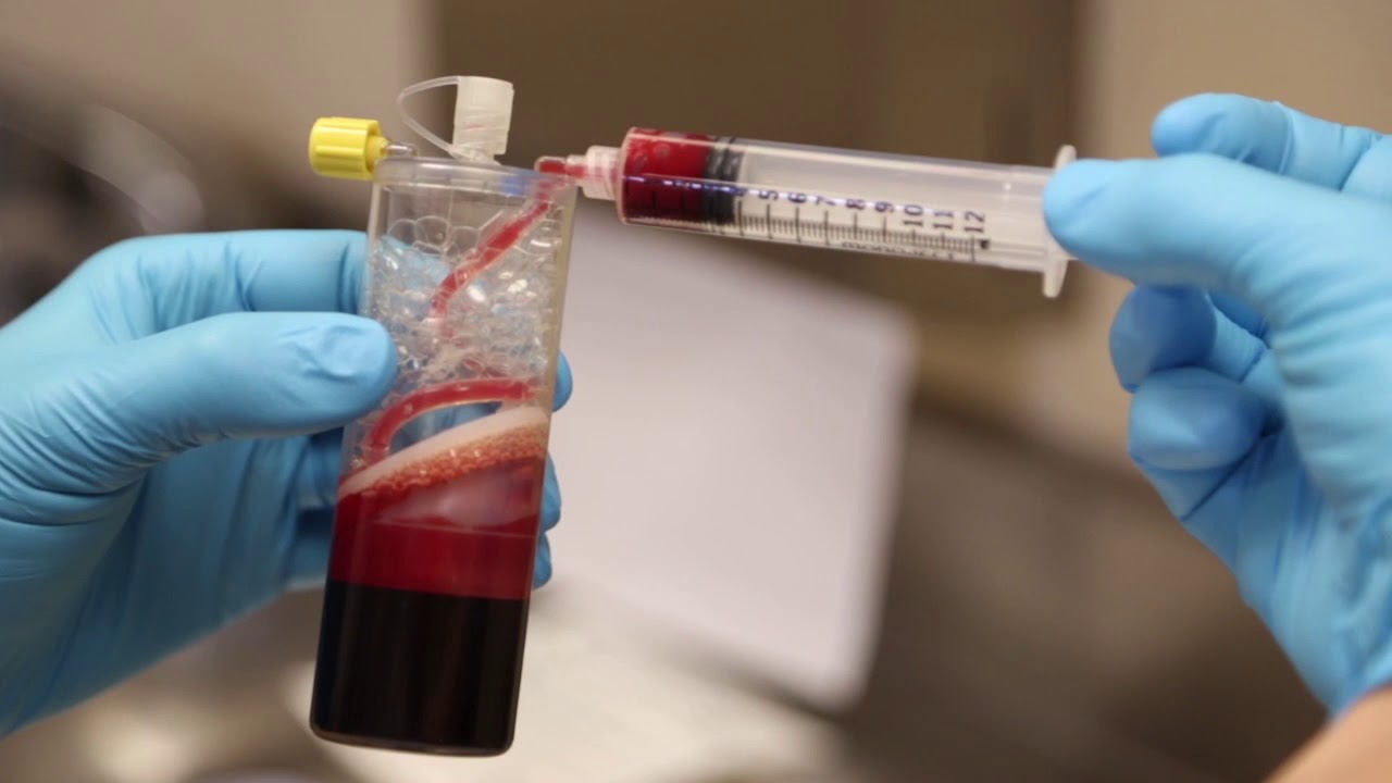 How It's Done - Pro Stride APS (Equine) - YouTube