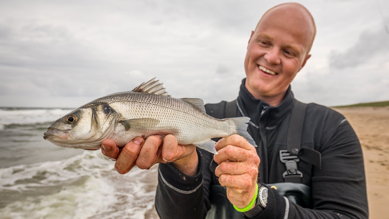 VISblad TV - strandvissen op Maasvlakte 2! - YouTube