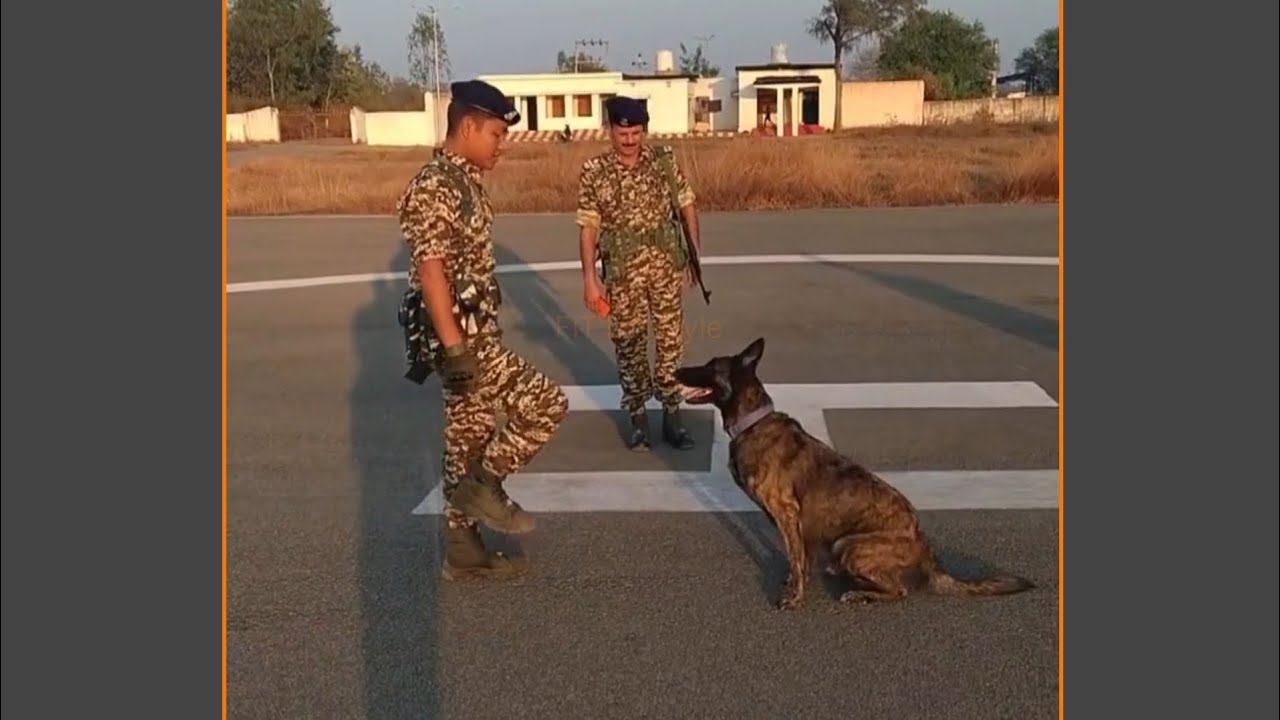 The Indian Military Dog as a Revenge | बदला लेने के लिए भारतीय सैन्य ...