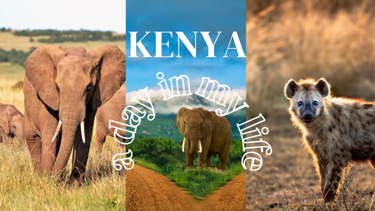 Why Visit Kenya Safari: Uncover the Magic of Africa's Untamed ...