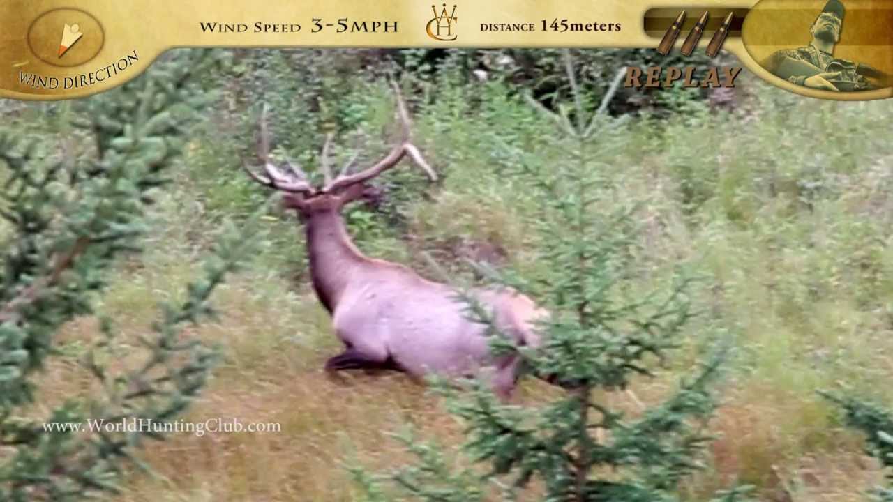 2013 Saskatchewan 340 Point Elk Hunt - YouTube