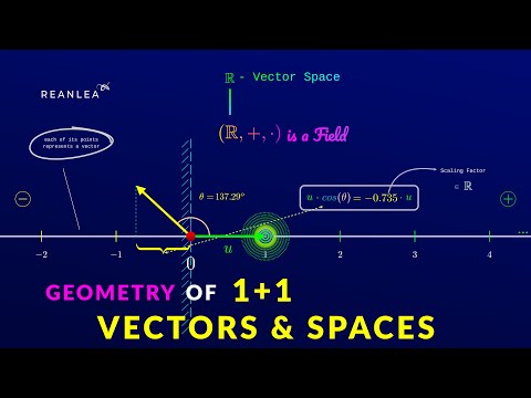 Vector Space Vector Field