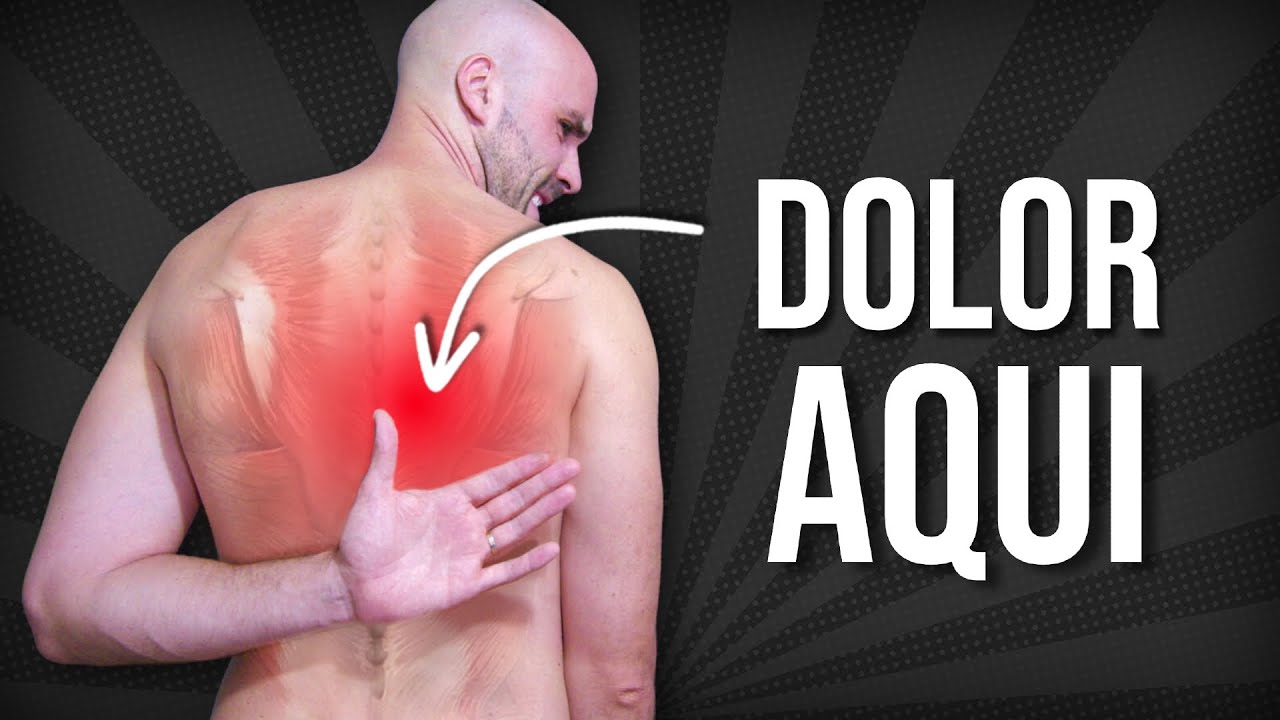 RUTINA DE EJERCICIOS para la DORSALGIA - YouTube