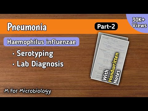 Pneumonia(Part-2) | H.influenzae Pneumonia | Lab diagnosis - YouTube