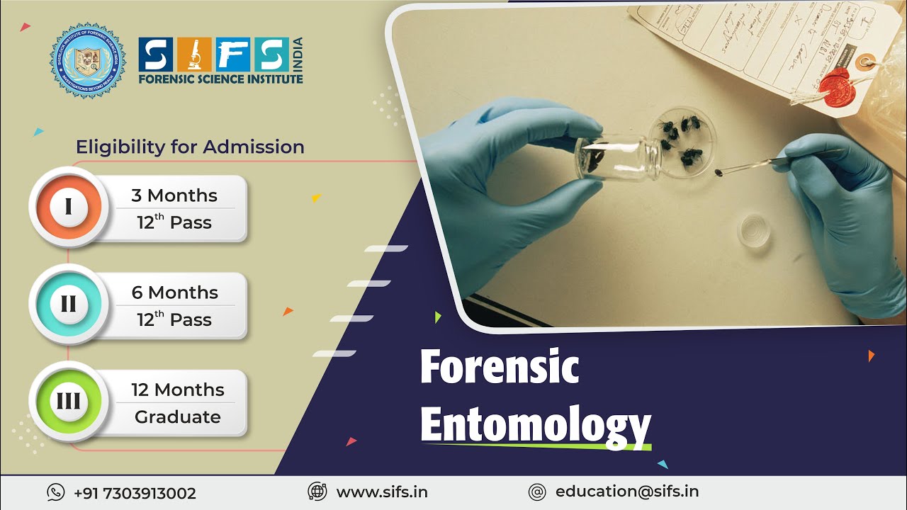 Forensic Entomology | Online Course Sherlock Institute of Forensic ...