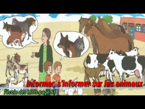 orale : Informer , s'informer sur les animaux / Unité 5 / p 61 / sem 1 ...