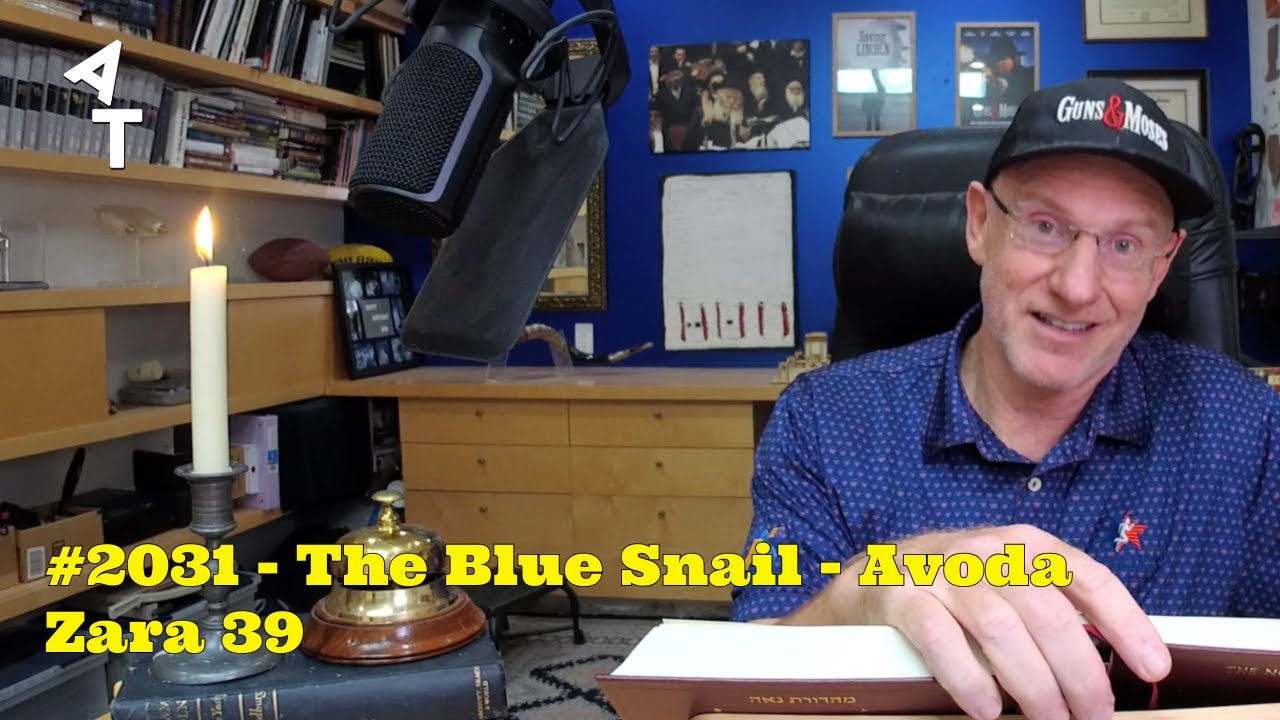 🛎 AT Daily! #2031 🐚 The Blue Snail 🗿 Avoda Zara 39 - YouTube