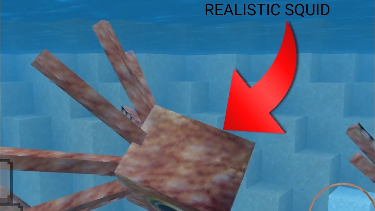 made realistic squid in minecraft :) - YouTube