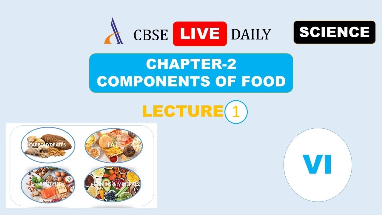 CLASS 6 SCIENCE CHAPTER 2 - COMPONENTS OF FOOD - LECTURE 1 - YouTube