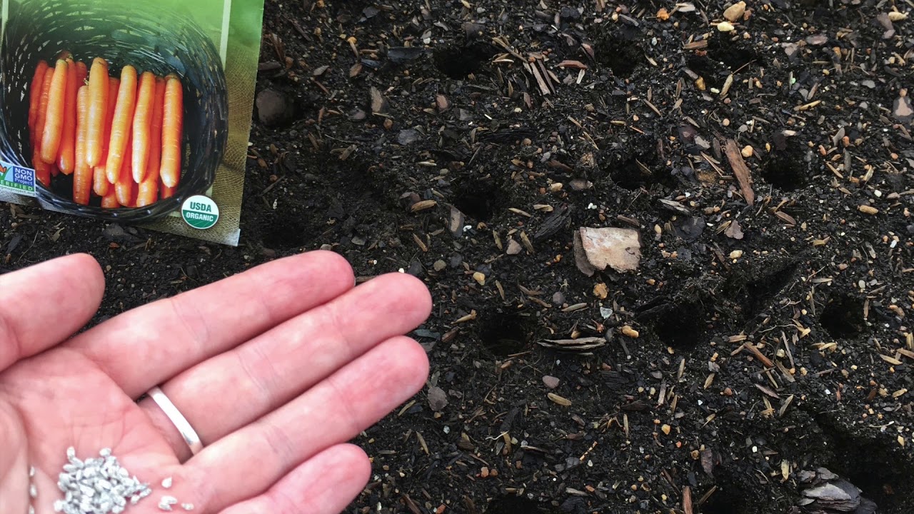 Virtual Field Trip: Garden Planting, May 1st, 2020 - YouTube