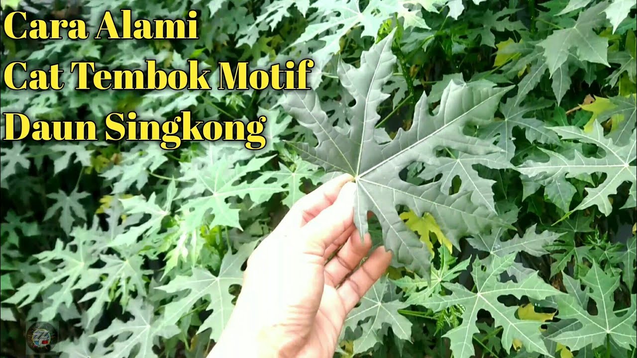 Cat tembok motif daun || Cat dinding kreatif motif daun - YouTube