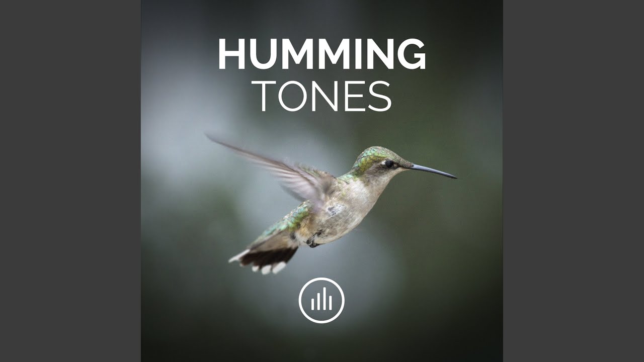 Humming Drone Tone in A - YouTube