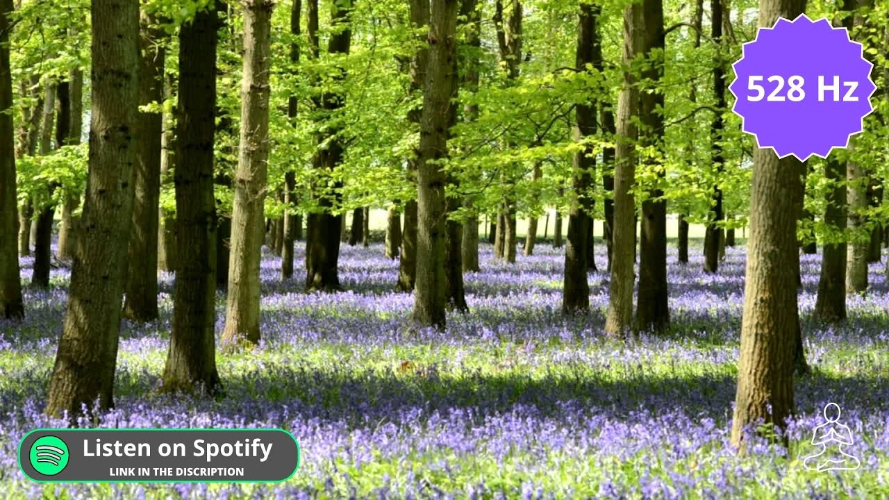 528 Hz + 432 Hz - Deep Healing Music for The Body & Soul - full body ...