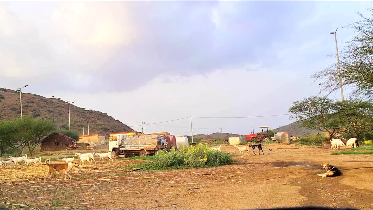 THE FARM SIDE OF ABU ARISH, JAZAN , SAUDI ARABIA - YouTube