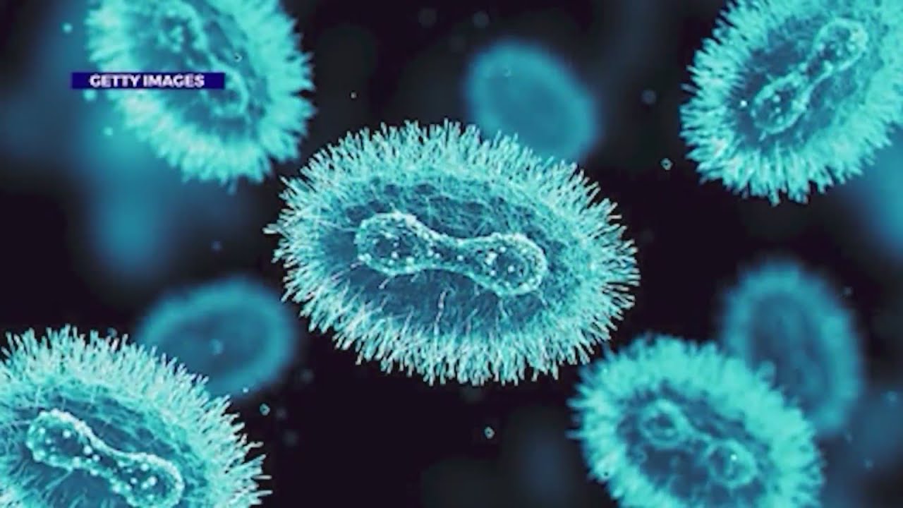 Medical experts weigh in after 2 die from monkeypox in Chicago - YouTube