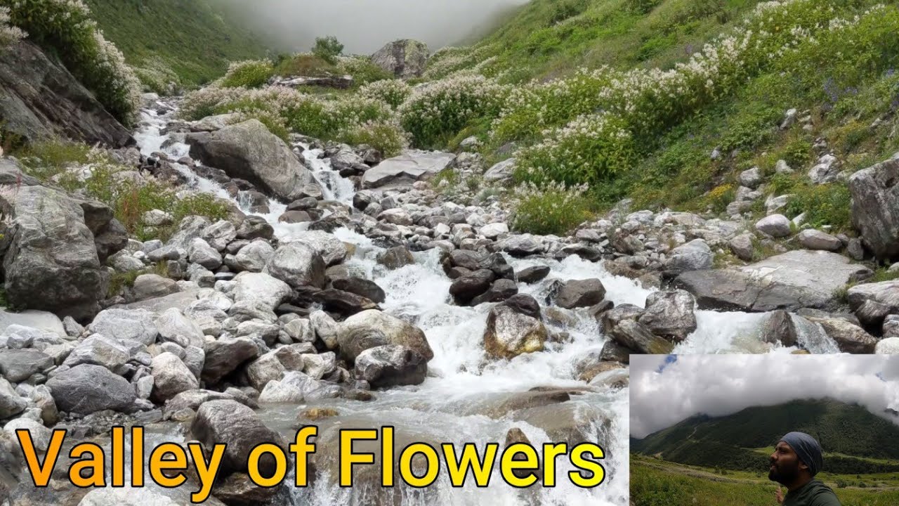Valley of Flowers, Phoolon ki Ghati, 02 - YouTube