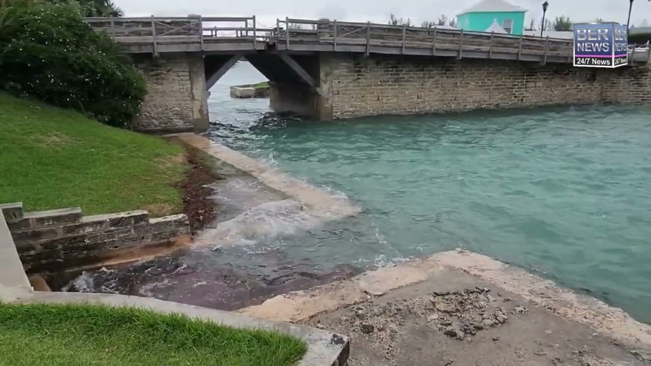 Ducks Monitor The Weather At Somerset Drawbridge, September 8 2022 ...