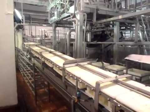 ~5Te/Hr Stainless Steel Horizontal Cheese Press Video (2) - For ...