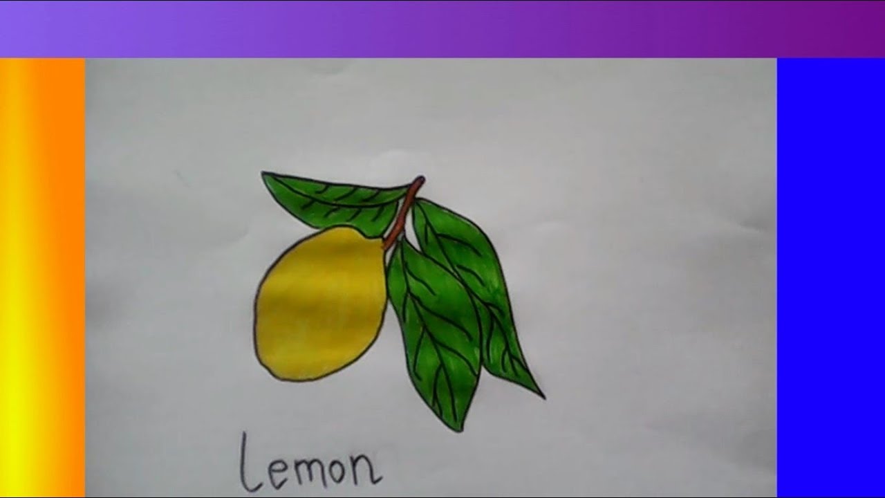 Menggambar Dan Mewarnai Lemon Untuk Anak Anak - YouTube
