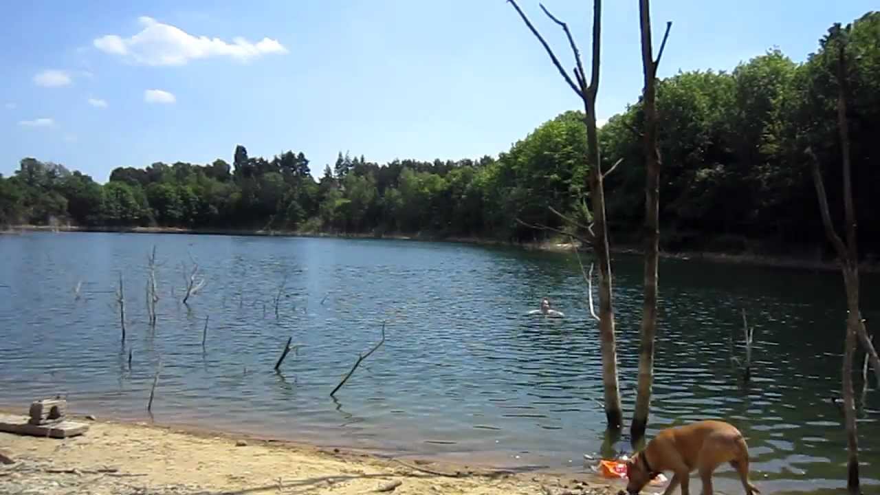 Abandoned open quarry swim on a sunny day - YouTube