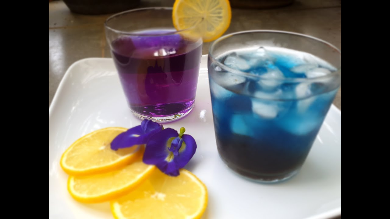 How to Make Butterfly Pea Flower Tea (Hot & Iced) or Blue Ternate Tea ...
