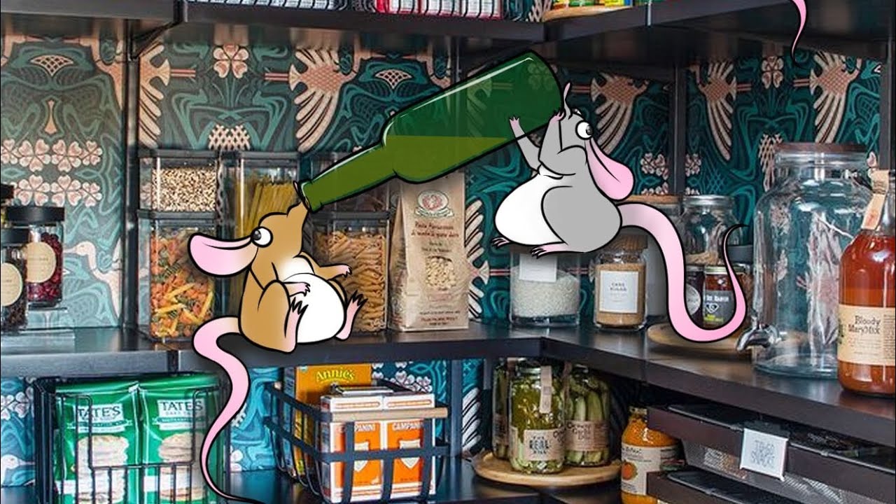 Rats In My Cereal (Queen Qrocodile) - YouTube