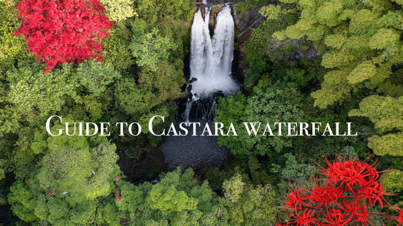 Trinidad & Tobago || Guide to Castara waterfall - an easy 10 min hike ...