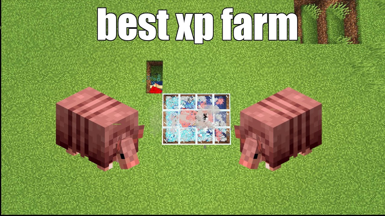 How to Build an Armadillo XP Farm | Minecraft 1.21.4 - YouTube