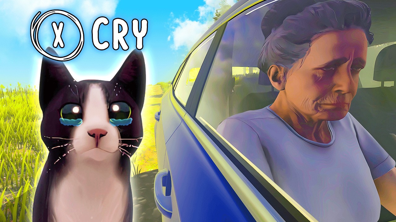 The SAD Life as a CAT... - YouTube