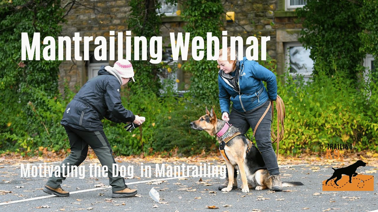 Motivating the Mantrailing Dog - YouTube