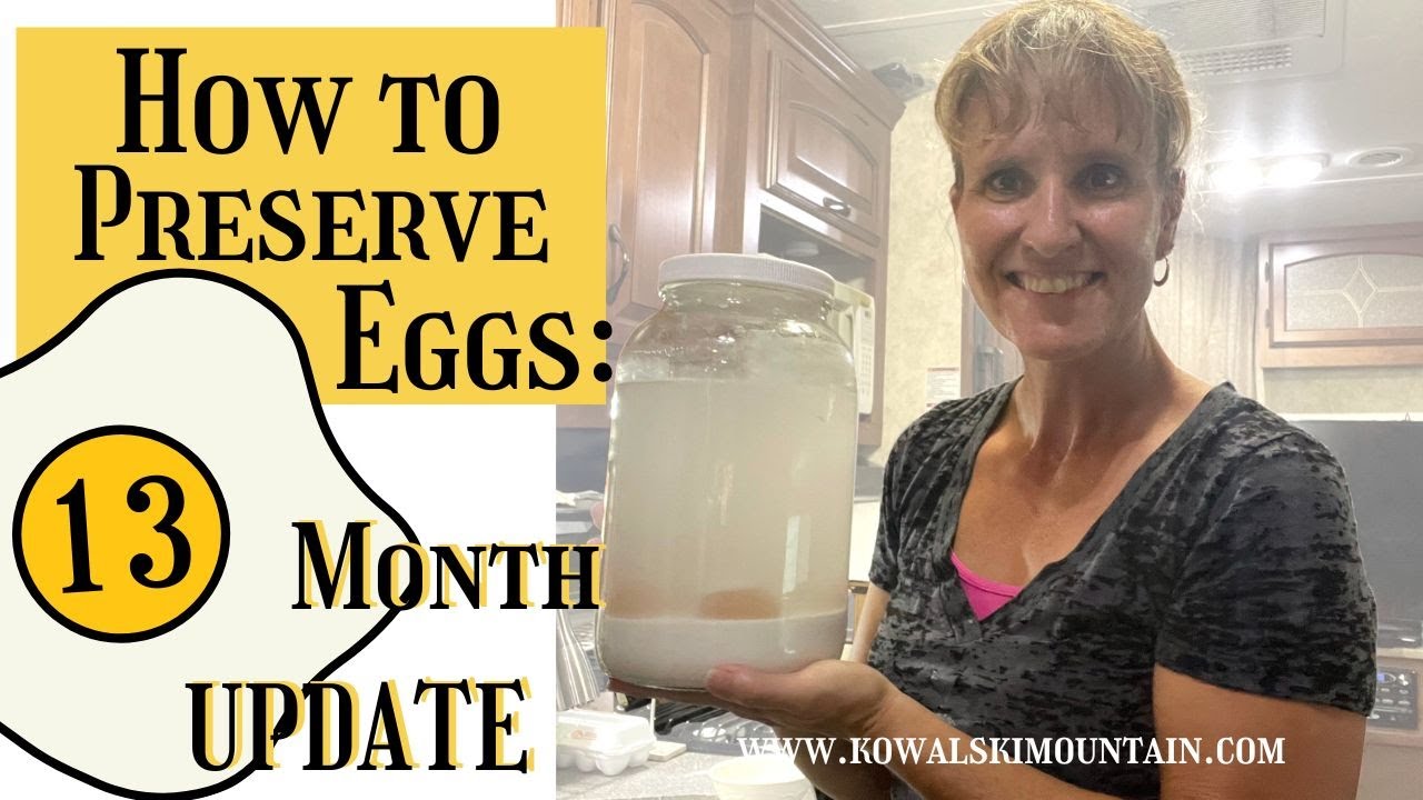 13 Month UPDATE Egg Preservation Experiment | How to Preserve Eggs ...