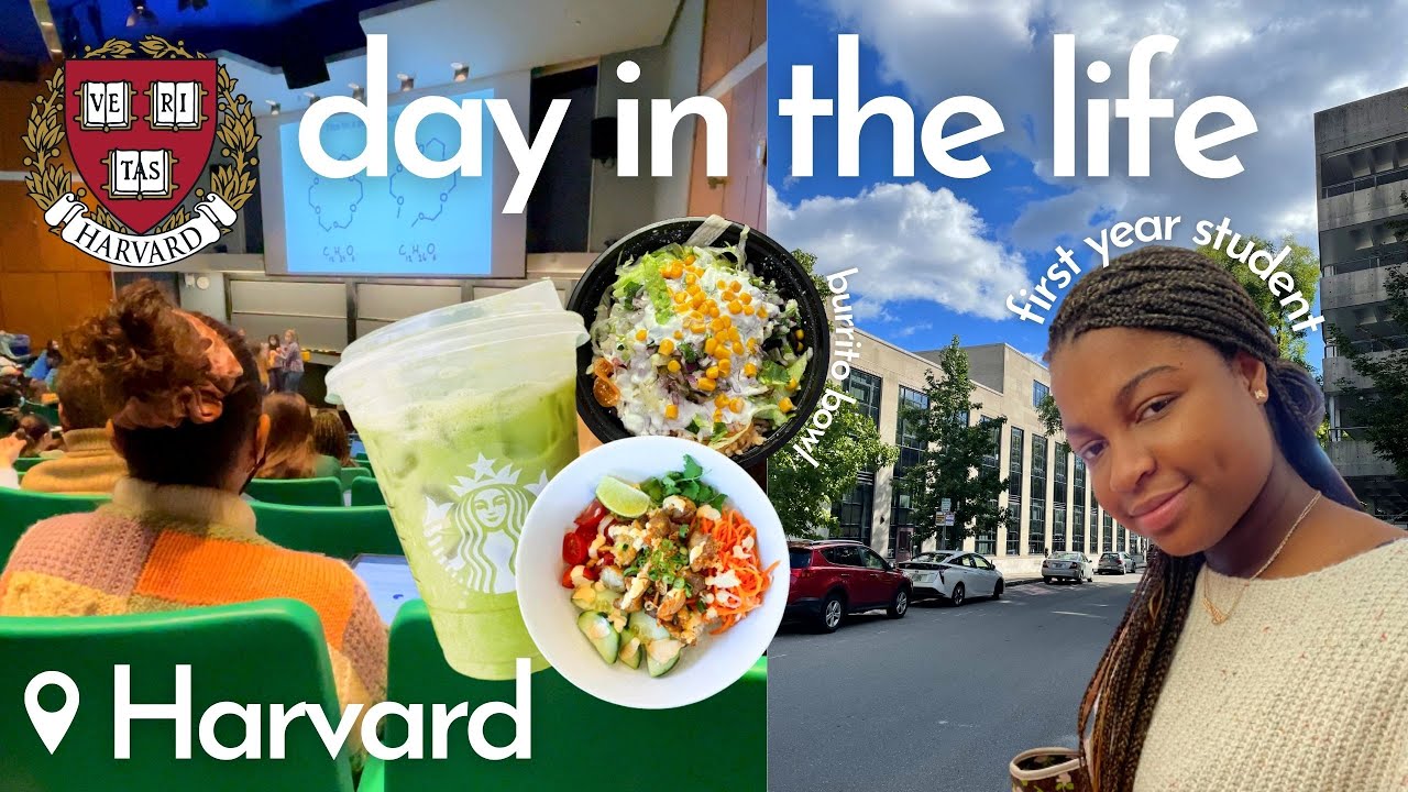 Day in the Life at HARVARD - YouTube