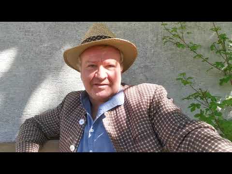 Wachaufestspiele Weissenkirchen: Intendant Marcus Strahl über die ...