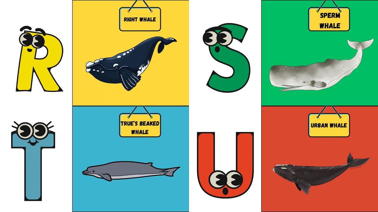 ABC Whale Song 🌊 | A to Z Whales and Ocean Wonders | Fun Learning for ...