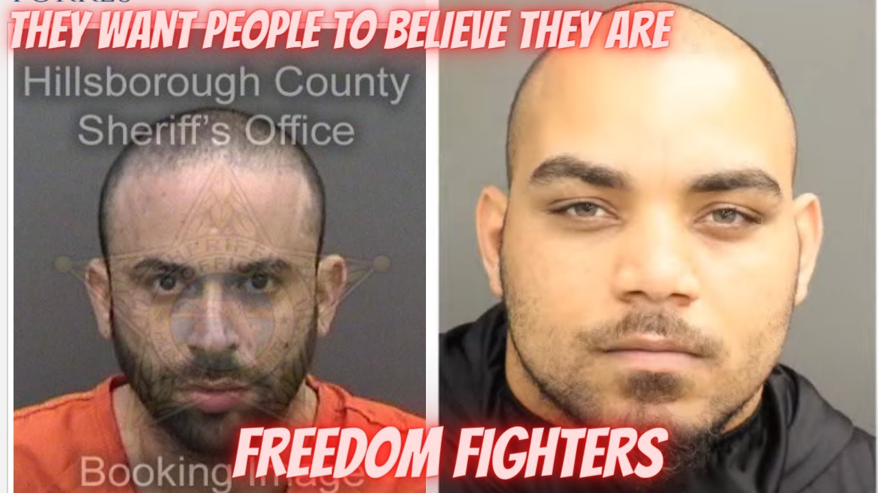 2 FRAUDITORS, FROM COMMITTING FELONIES TO SUPPOSEDLY FIGHTING FOR ...
