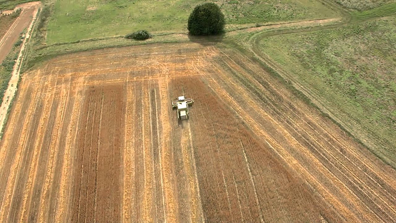 Haferernte 2014 Werner und Daniel Kropp - YouTube