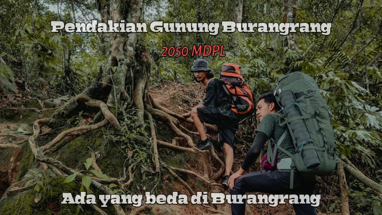 Pendakian Gunung Burangrang via Legok haji Cisarua Lembang - YouTube
