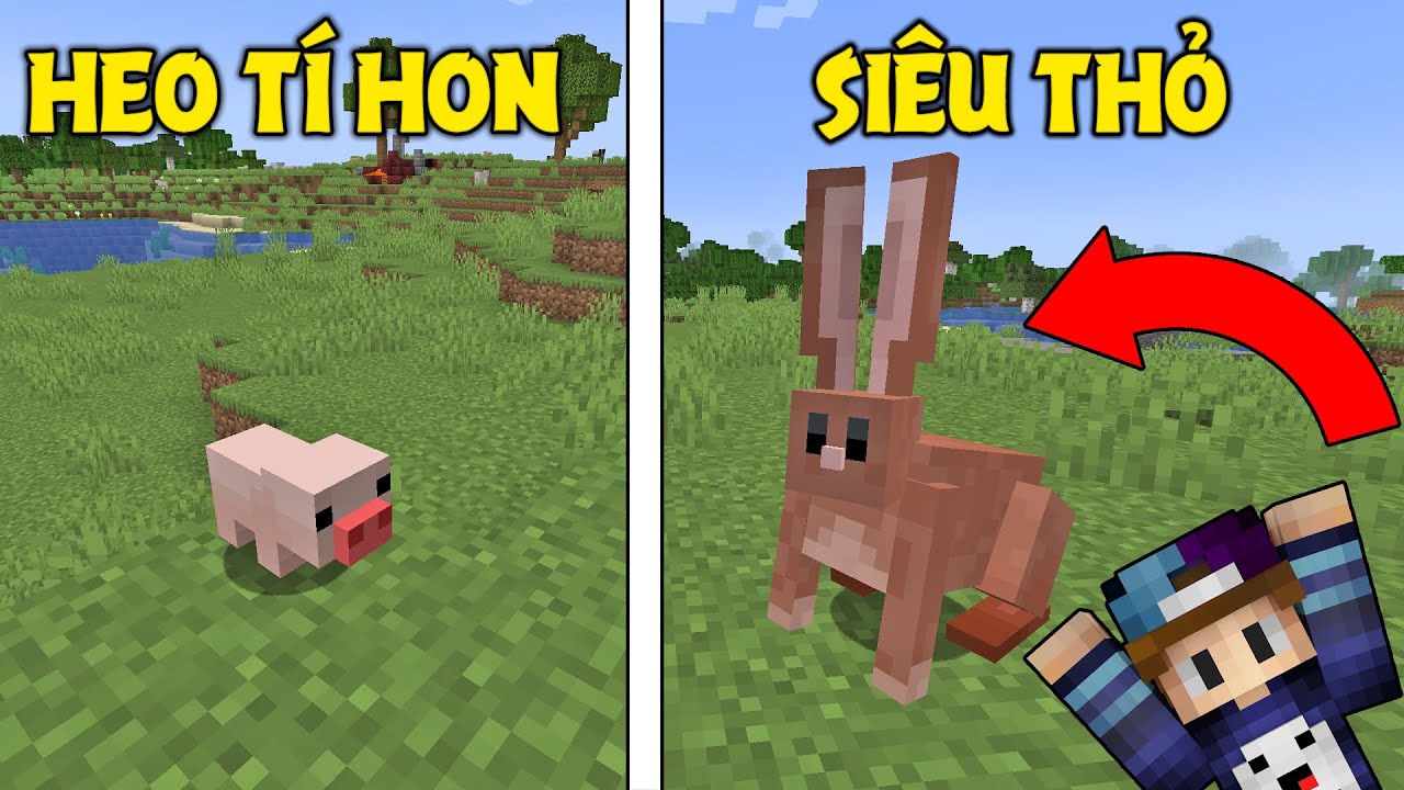 10 CON VẬT MỚI KHÔNG BAO GIỜ ĐƯỢC THÊM VÀO TRONG MINECRAFT !! - YouTube